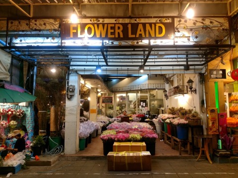 Flower Land x ร้านค้า x flowerhub.space